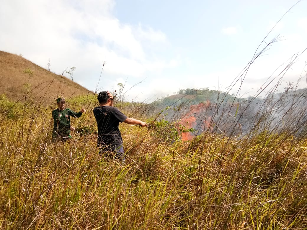 TNI Bersama Warga Berhasil Padamkan Api di Lahan Seluas 1,5 Hektar ...